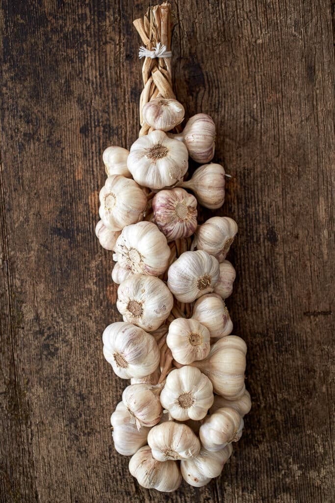 The Best Time to plant Garlic Cloves - Tips You Need to Know