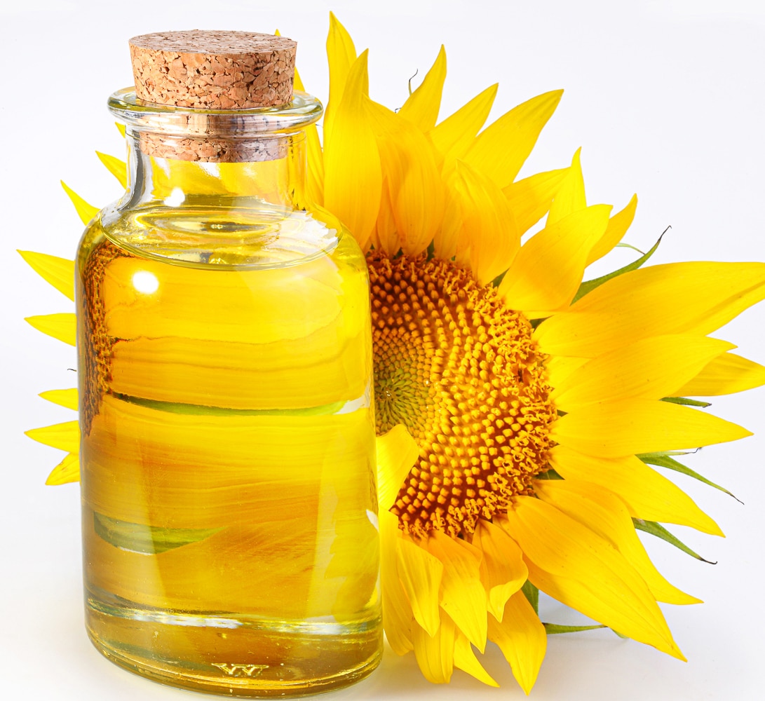 Benefits of Sunflowers - More Than Just Another Pretty Flower