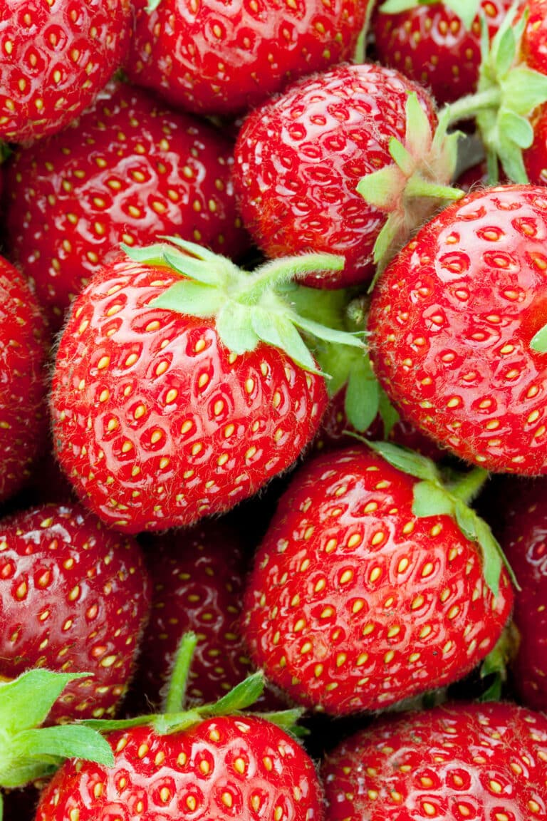 Fertilizing Strawberries for Higher Yields and Healthy Plants