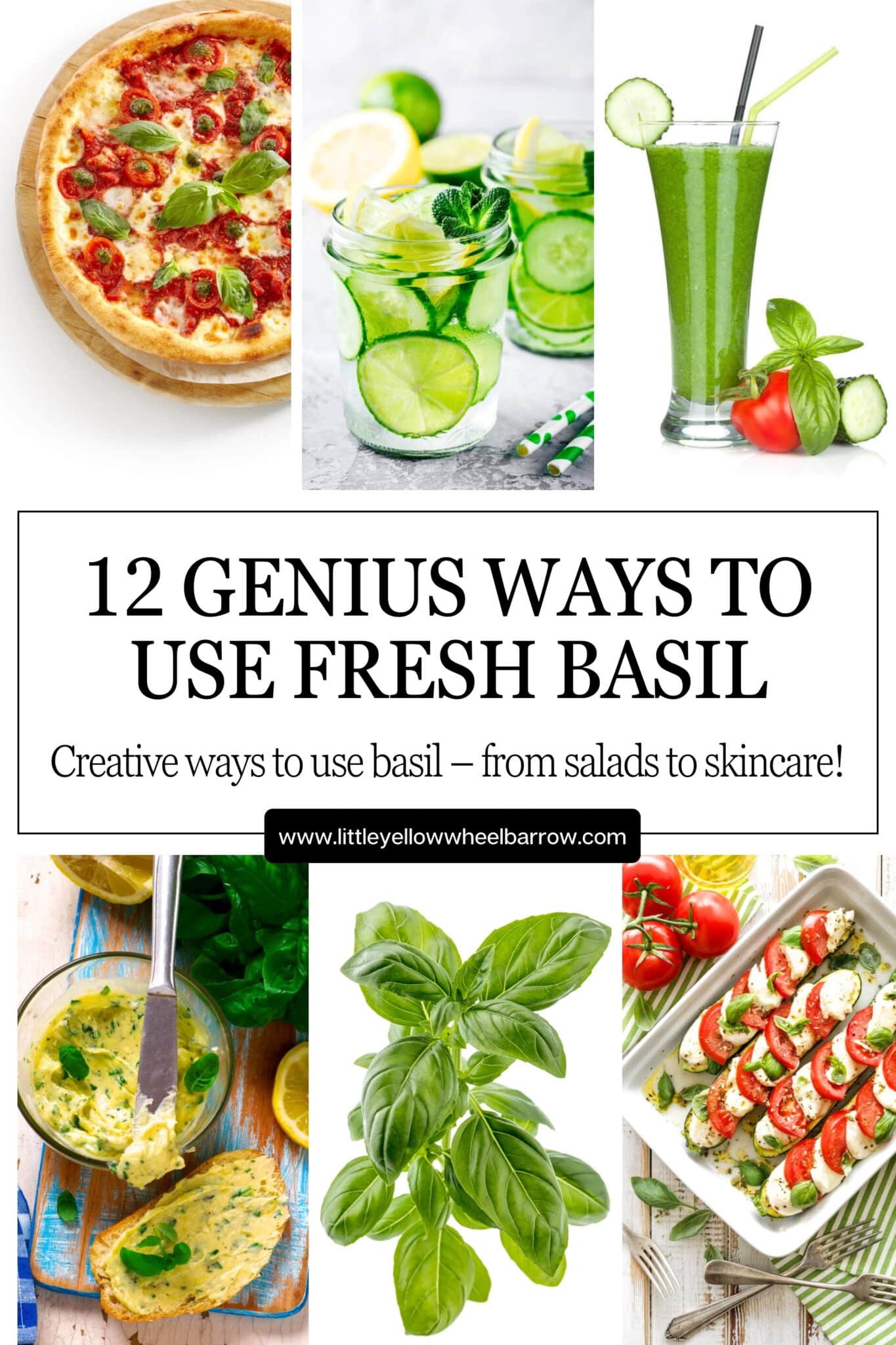What to Do with Fresh Basil: Creative Ways to Use Your Harvest