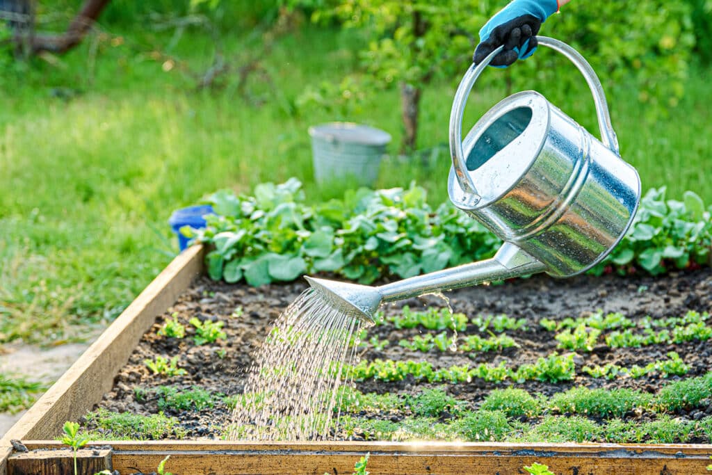 Kitchen Garden Planning With Our Helpful Step By Step Guide