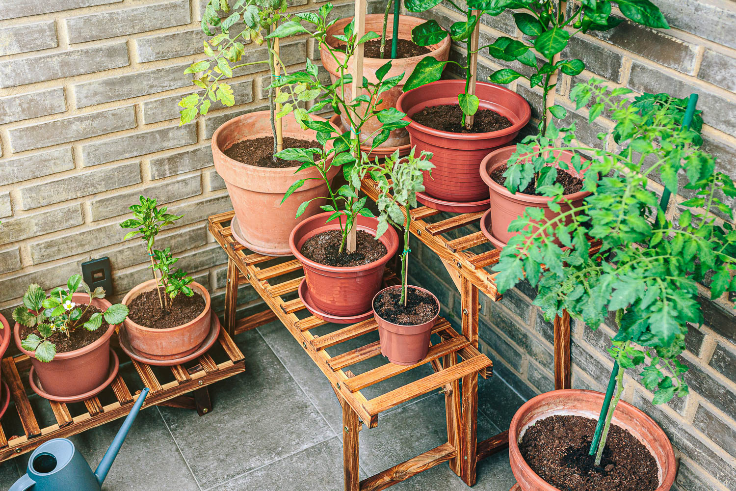 Kitchen Garden Planning With Our Helpful Step By Step Guide