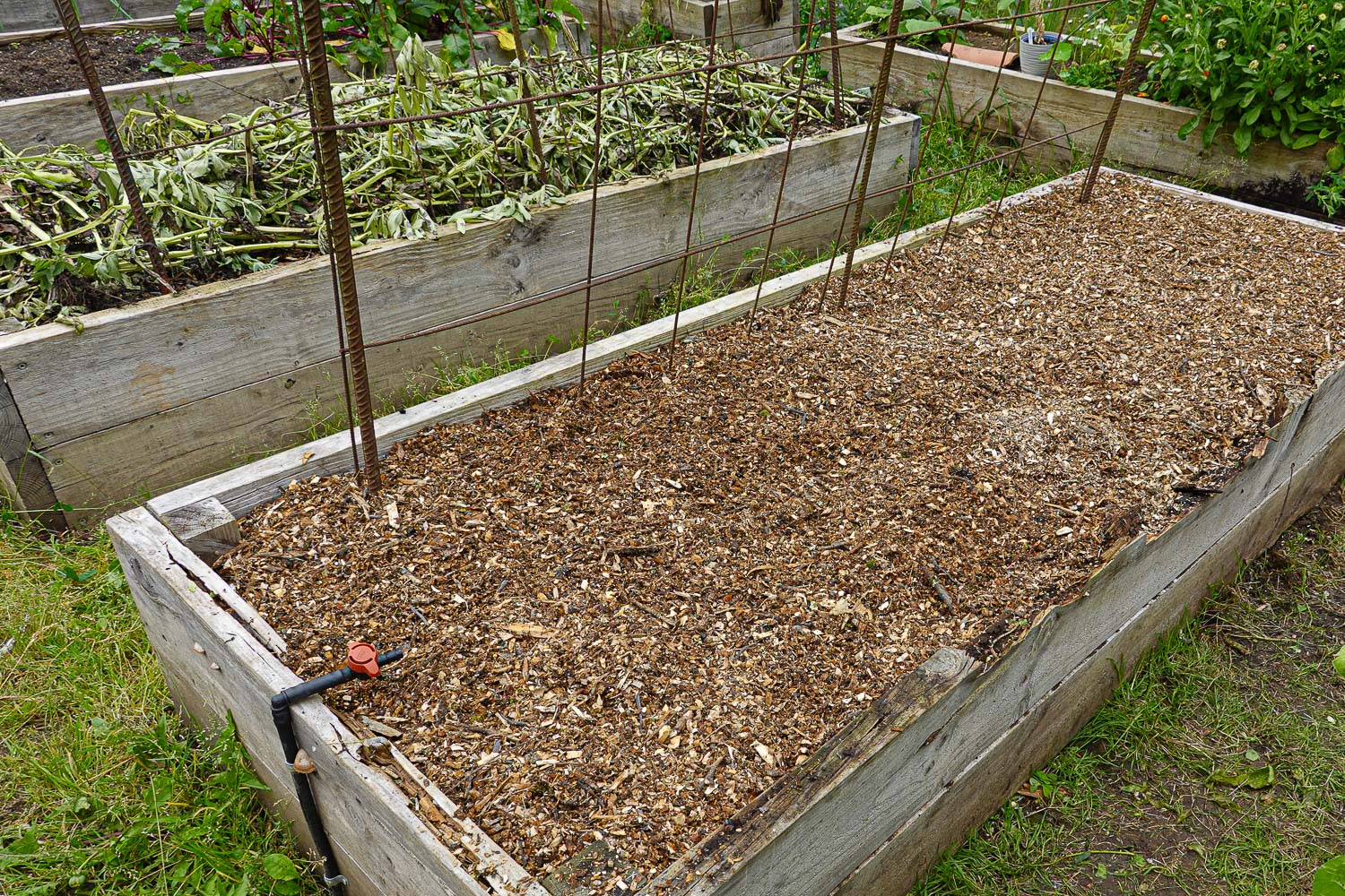 Kitchen Garden Planning With Our Helpful Step By Step Guide