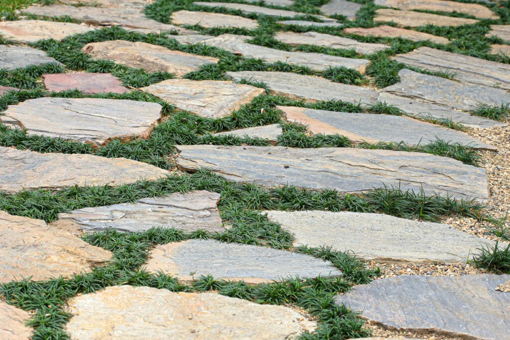 Boost Your Curb Appeal with These Water-Wise Landscape Ideas