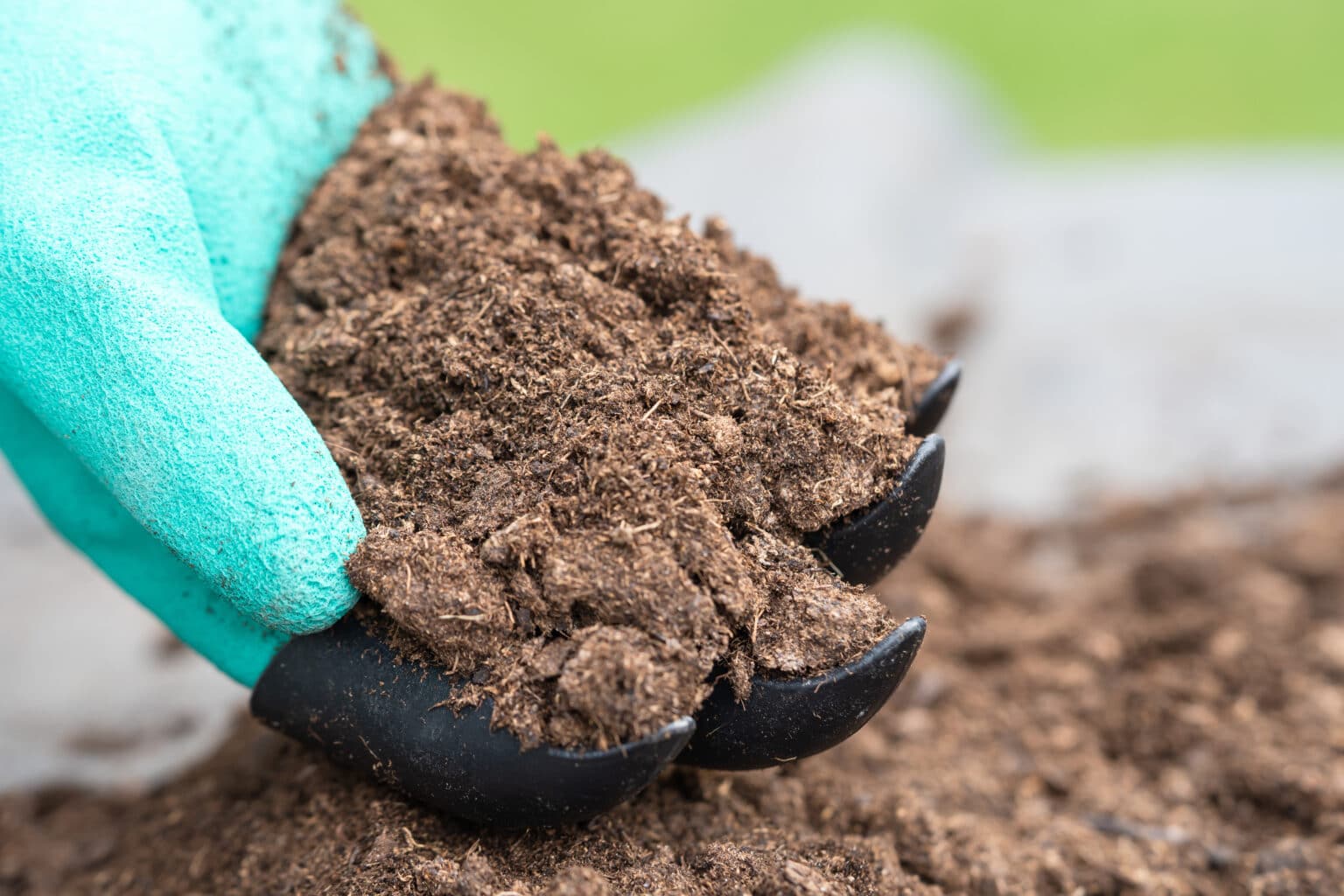 Design a Drought-Tolerant Landscape: Step by Step Guide