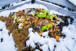 Winter Composting: How to Keep Composting in Cold Weather