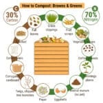 Winter Composting: How to Keep Composting in Cold Weather