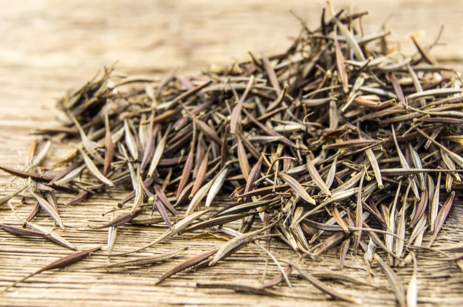 How to Grow Marigolds: A Complete Guide for Gardeners