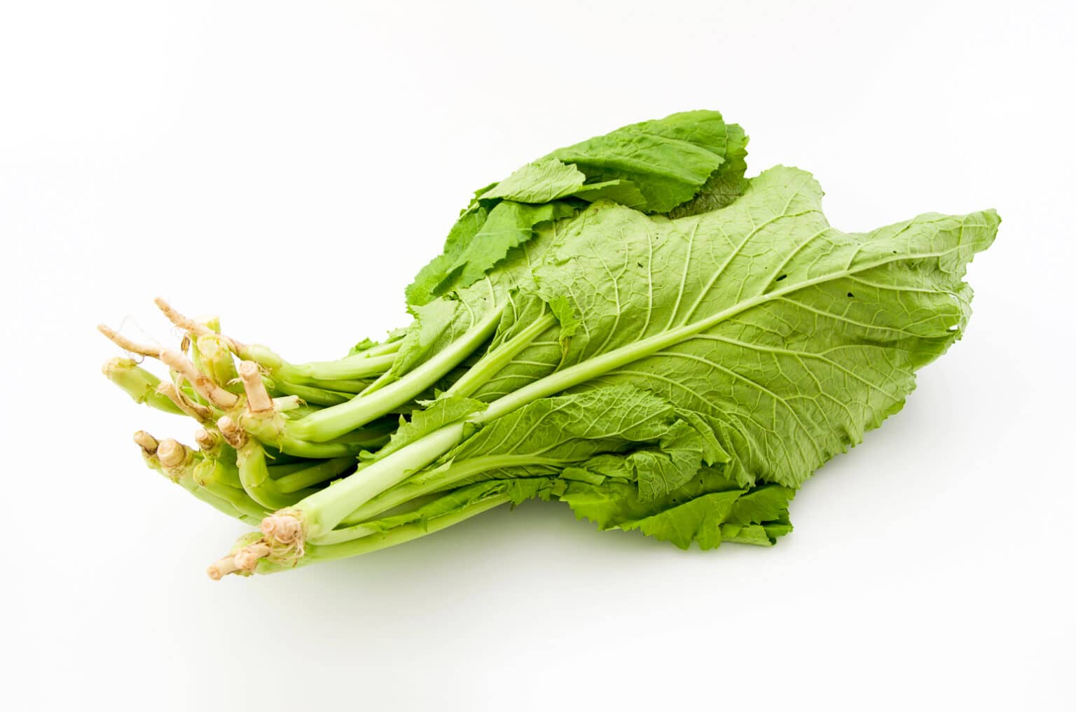 21 Frost-Tolerant Crops for Late Winter Planting