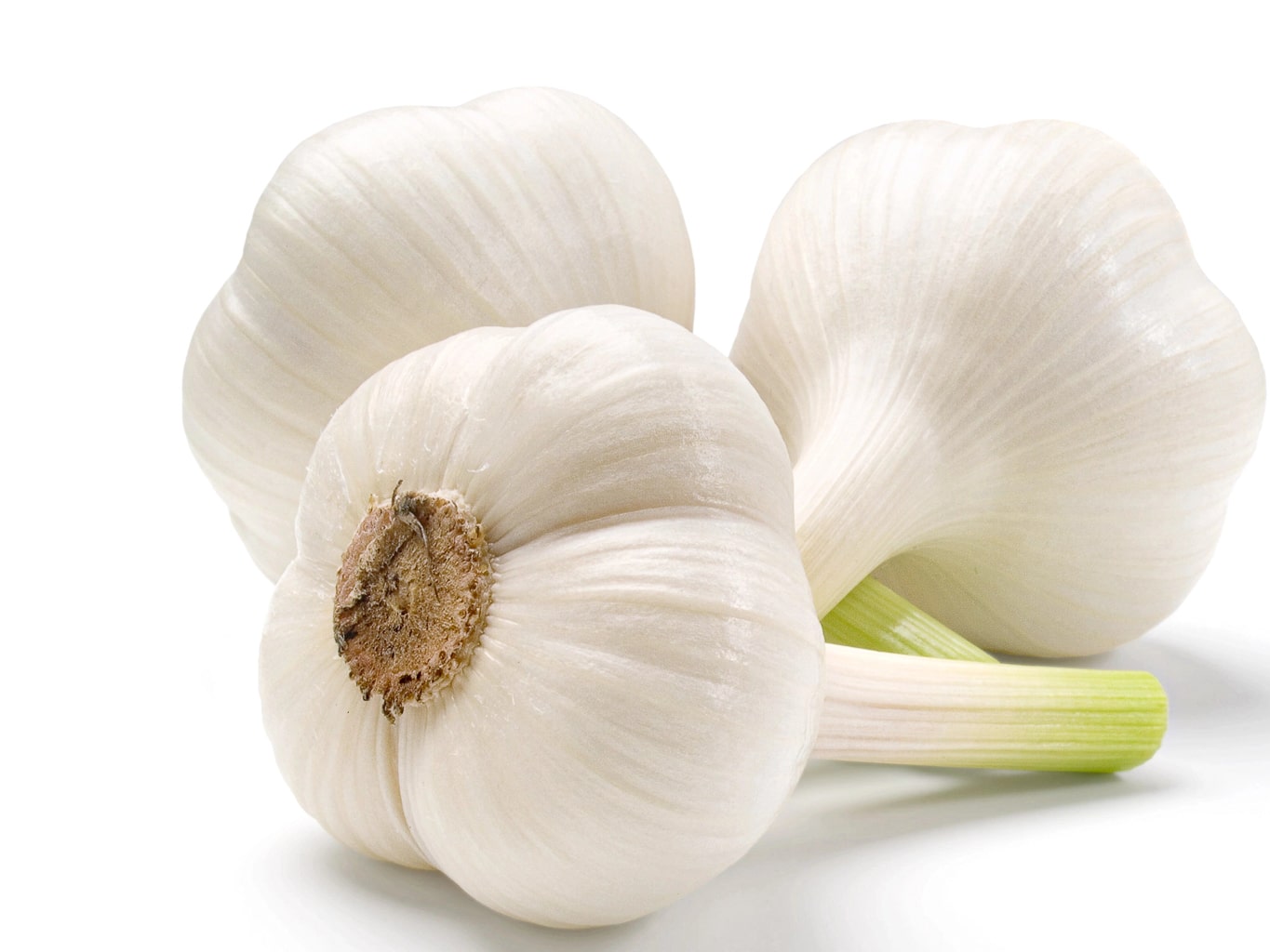 21 Frost-Tolerant Crops for Late Winter Planting