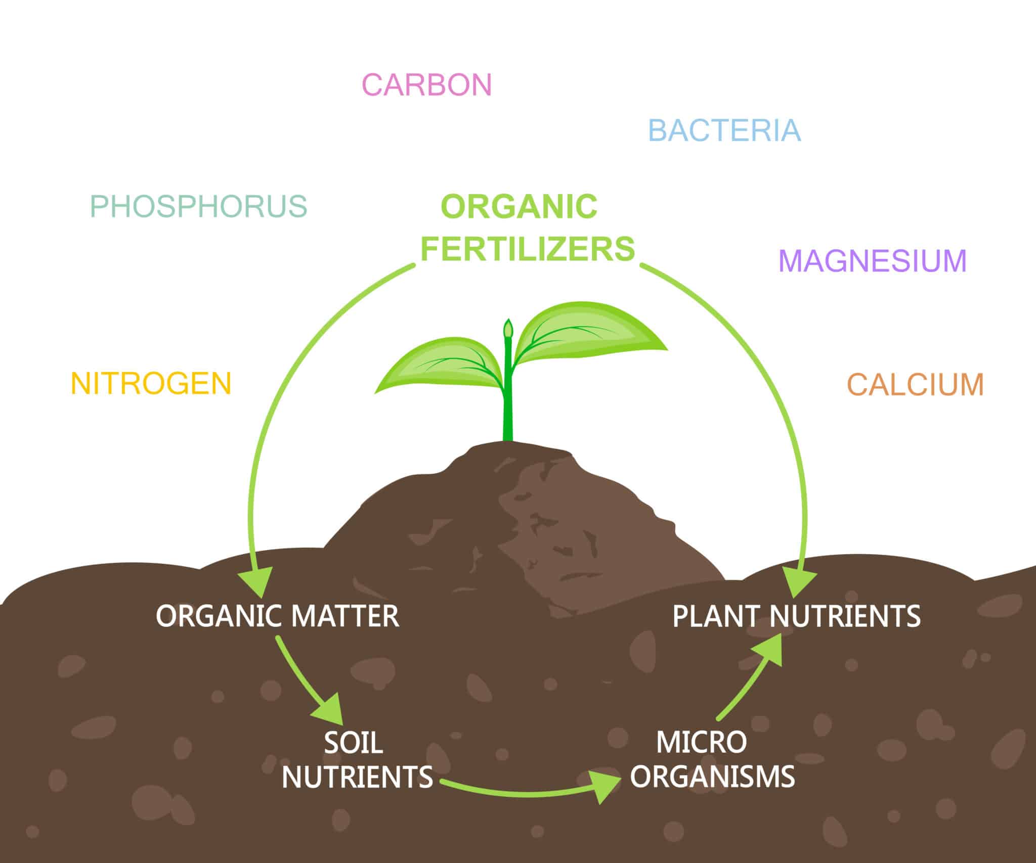 Improve Garden Soil Before Planting - What To Add and When