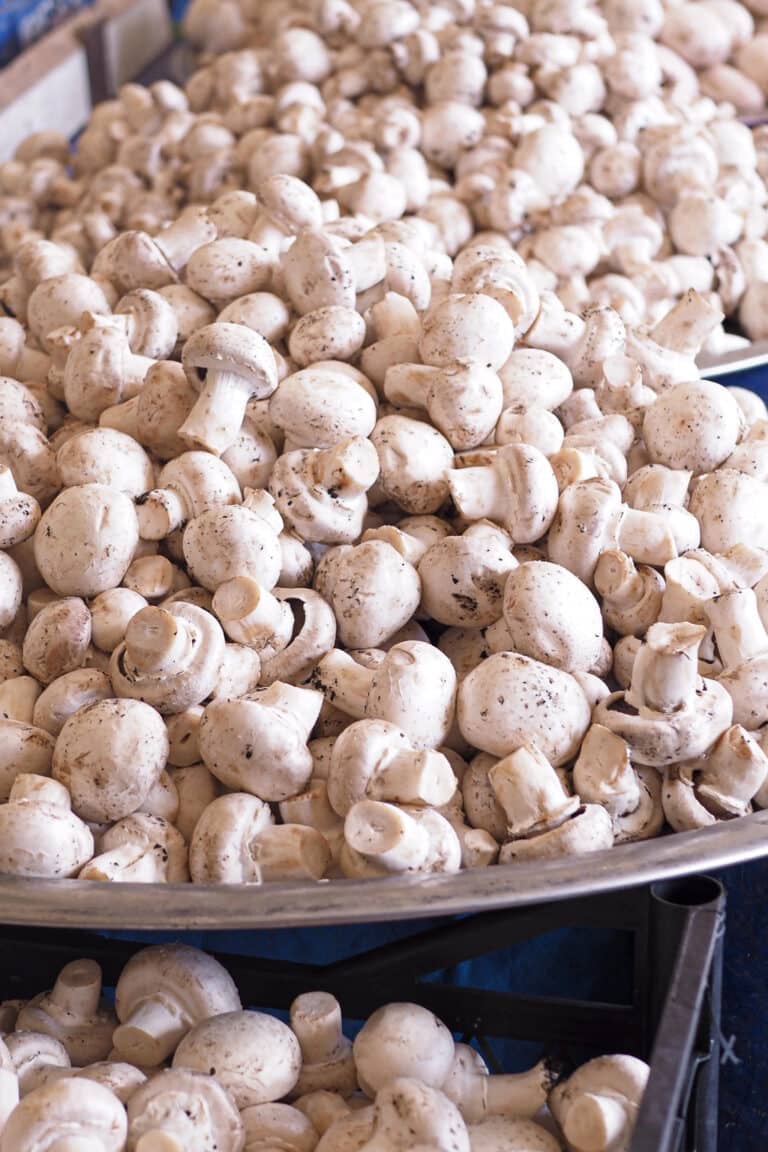10 Most Profitable Crops for Farmers' Markets (& Smart Selling Tips)